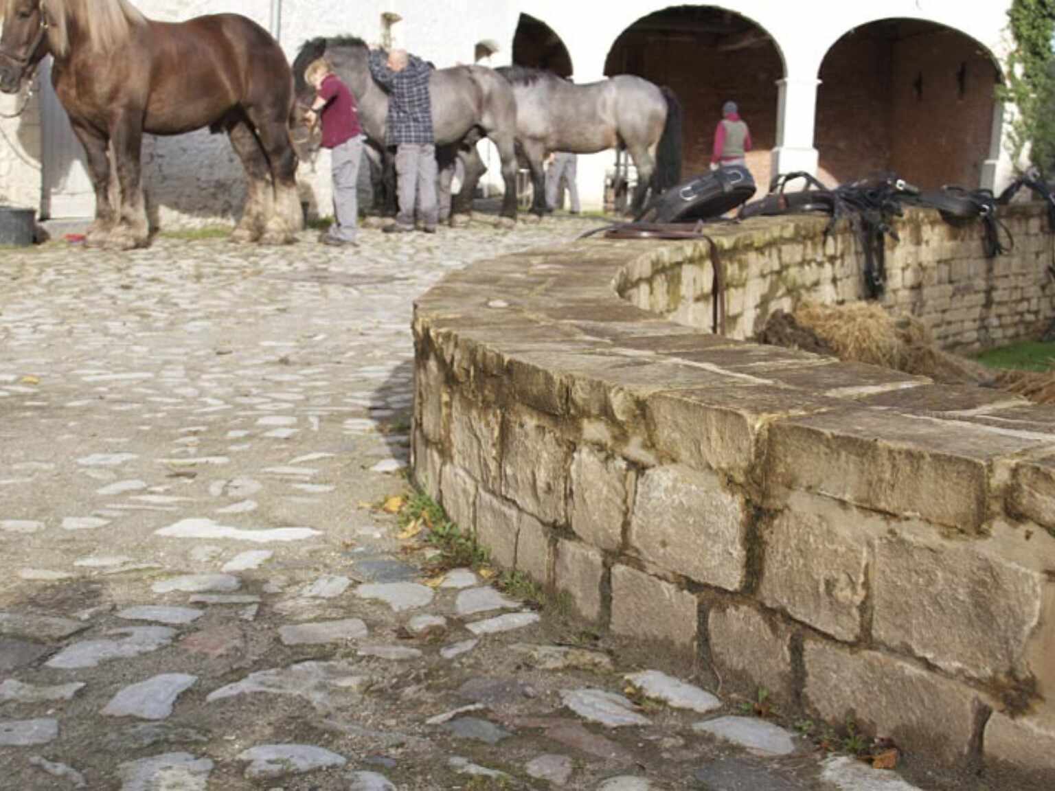 Rouge cloître - Des techniques ancestrales pour un écrin historique ...